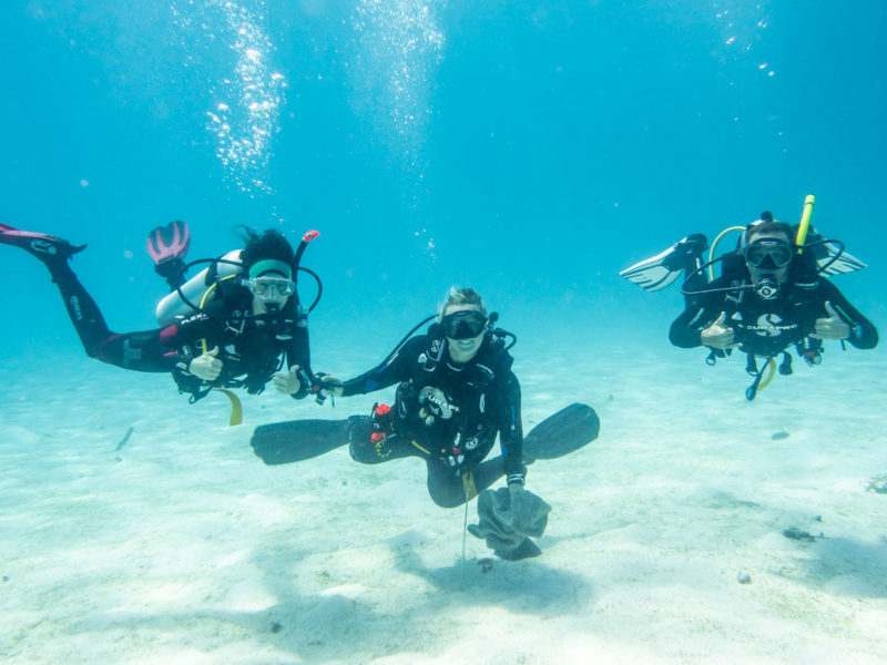 PADI Online Courses - Learn before you travel! - Azul Unlimited