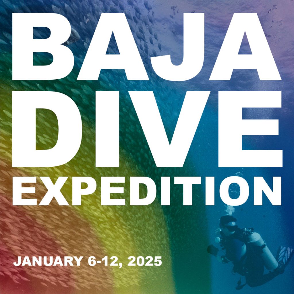 Upcoming Diving Expeditions - Azul Unlimited